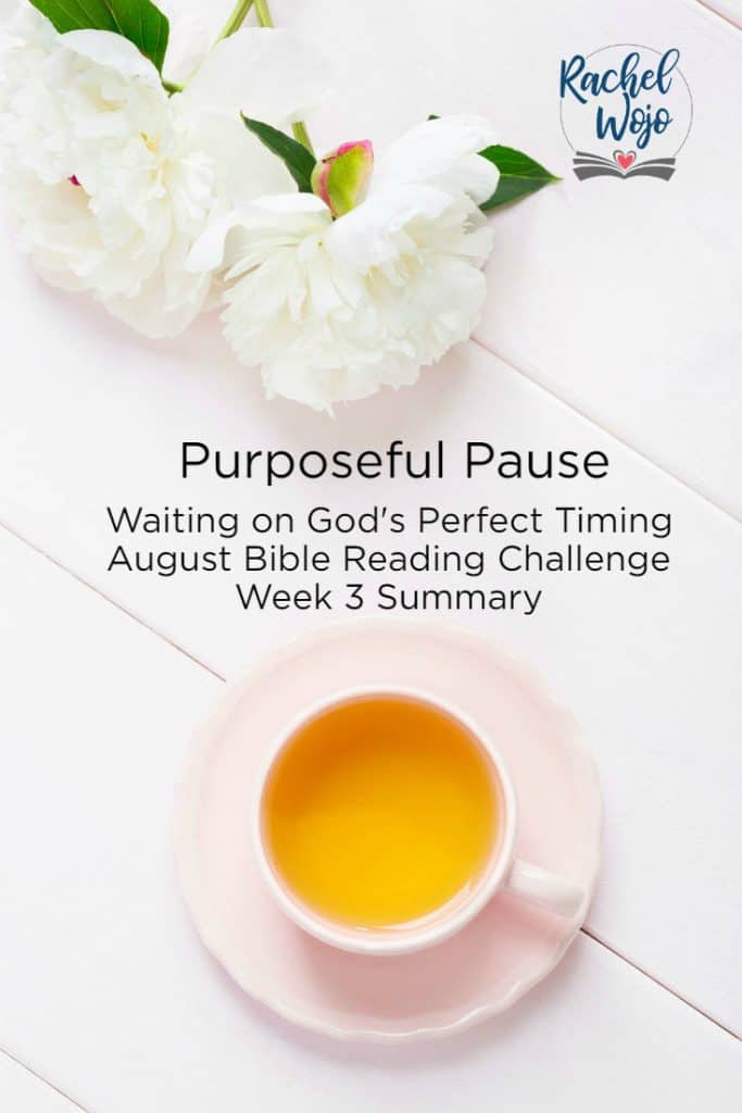 Purposeful Pause Week 3 Bible Reading Summary - Rachel Wojo
