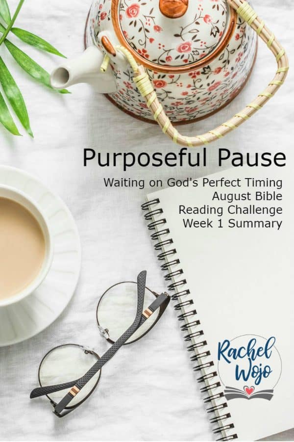 Purposeful Pause Bible Reading Week 2 Summary - Rachel Wojo