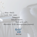 Never Alone Bible Reading Challenge Week 2 Summary - RachelWojo.com