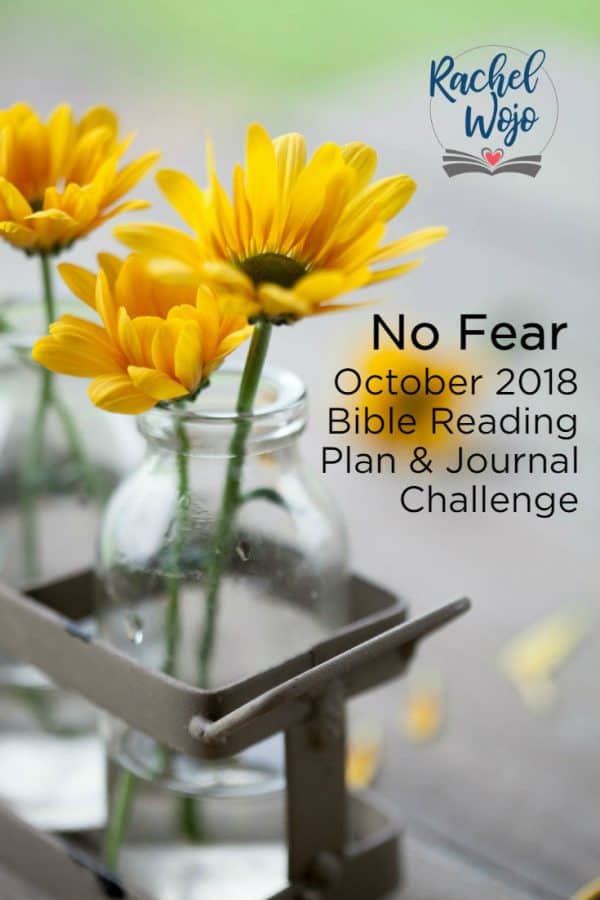 October Bible Reading Plan and Journal Challenge - Rachel Wojo