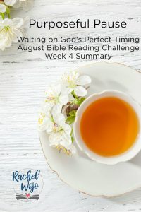Purposeful Pause Week 4 Bible Reading Summary - Rachel Wojo