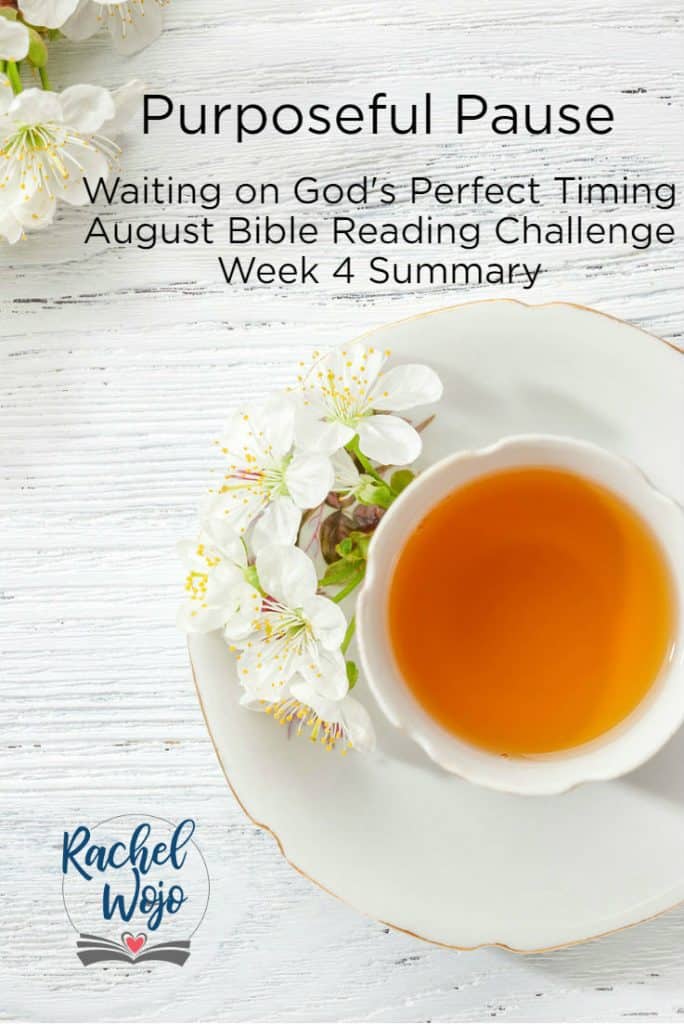Purposeful Pause Week 4 Bible Reading Summary - Rachel Wojo