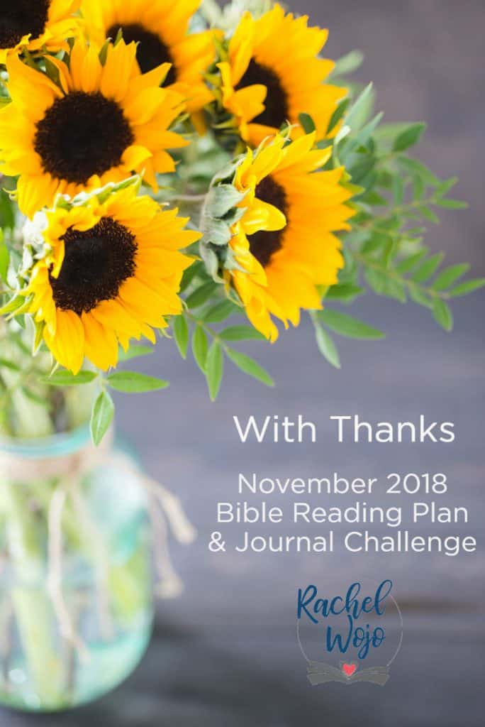 November Bible Reading Plan and Journal Challenge - Rachel Wojo
