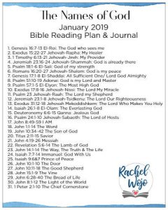 January 2019 Bible Reading Plan - Rachel Wojo