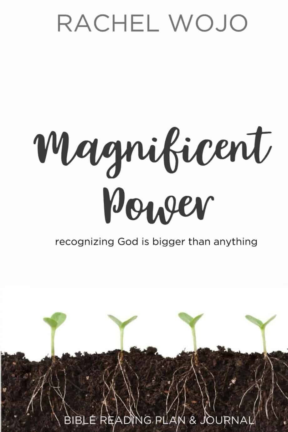 Magnificent Power Bible Reading Challenge - Rachel Wojo