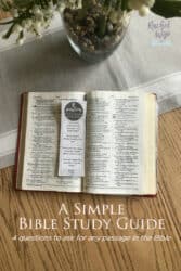 Simple Bible Study Guide for Any Passage - Rachel Wojo