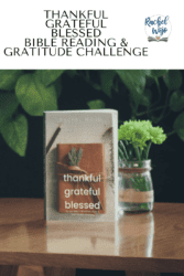 Thankful Grateful Blessed Bible Reading Challenge - RachelWojo.com