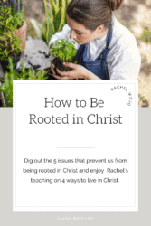 How to Be Rooted in Christ - Rachel Wojo