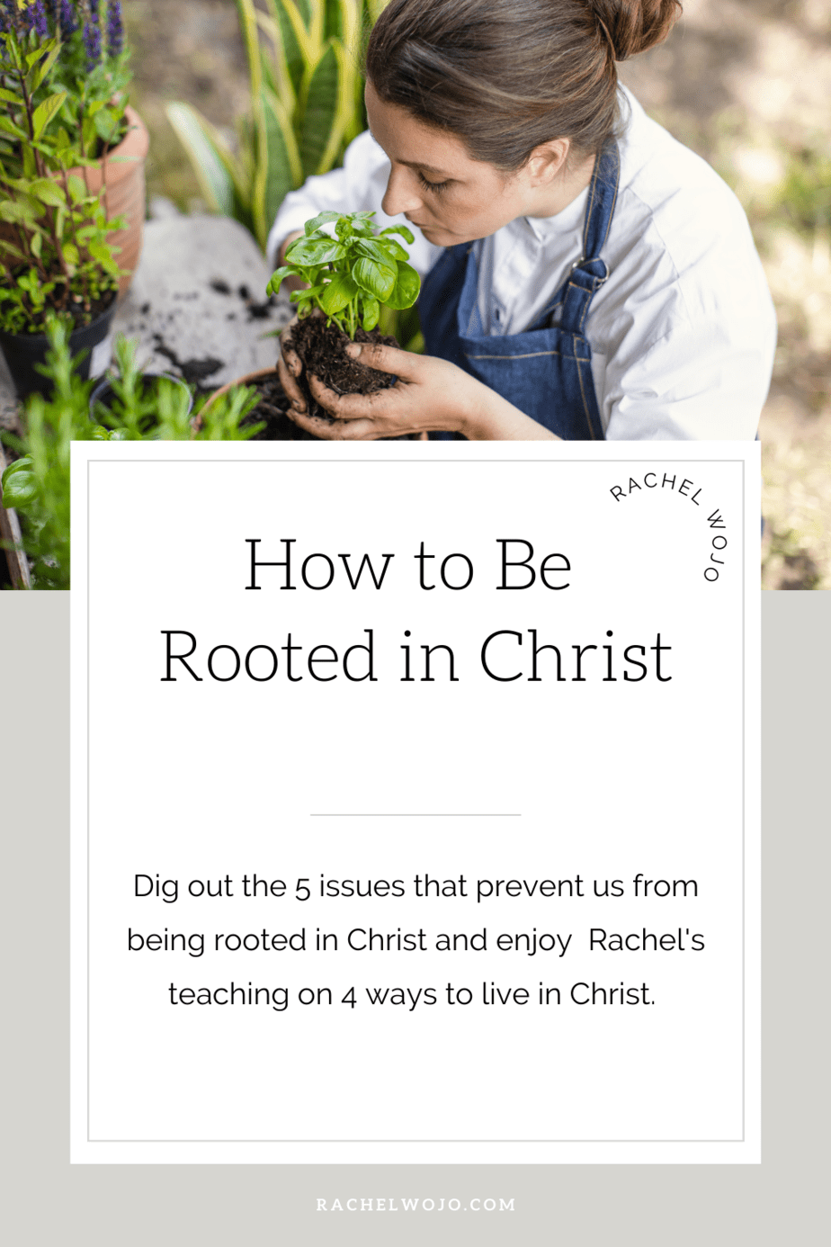 How to Be Rooted in Christ - Rachel Wojo